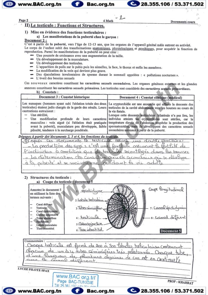 Résumé et Séries Sciences - Toute l'année - BAC Math 2026 - Bac Tunisie ...