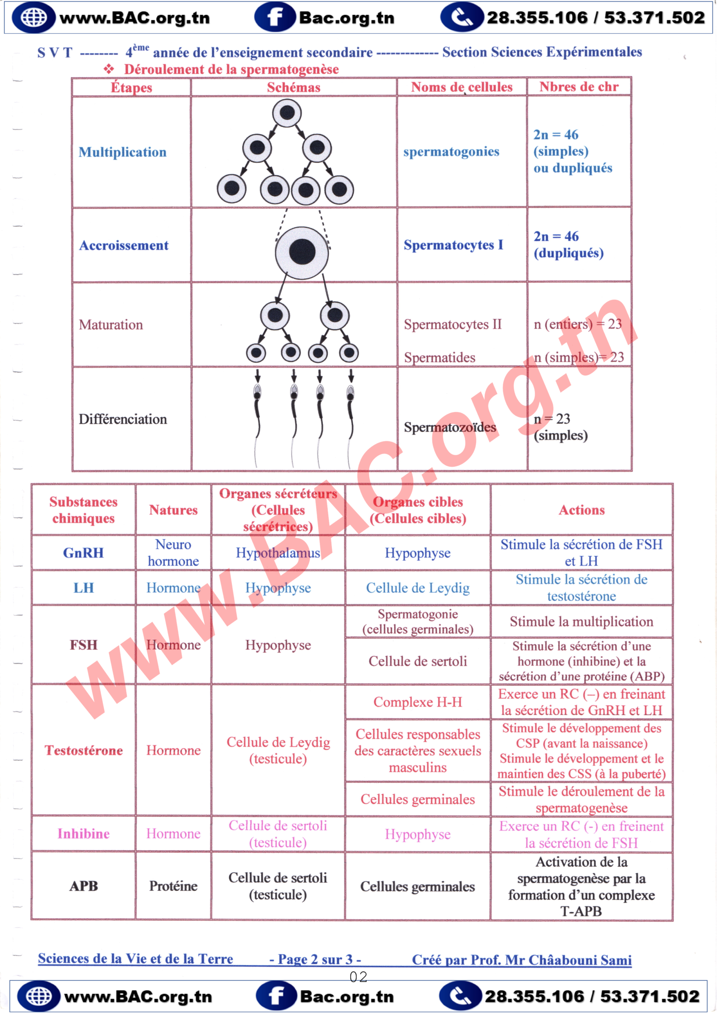 Résumés du cours Toute l'année - SVT - BAC Sciences Exp 2026 - Bac ...