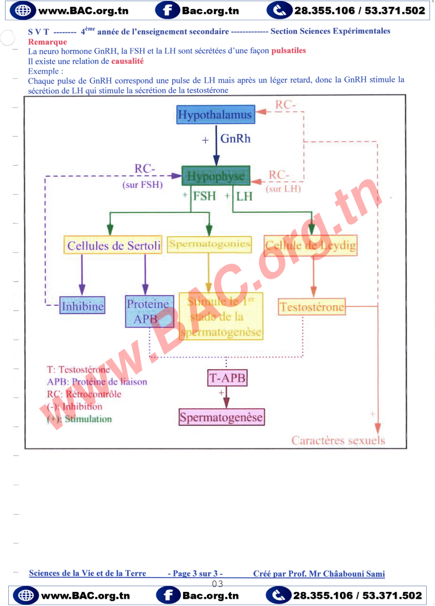 Résumés du cours Toute l'année - SVT - BAC Sciences Exp 2026 - Bac ...