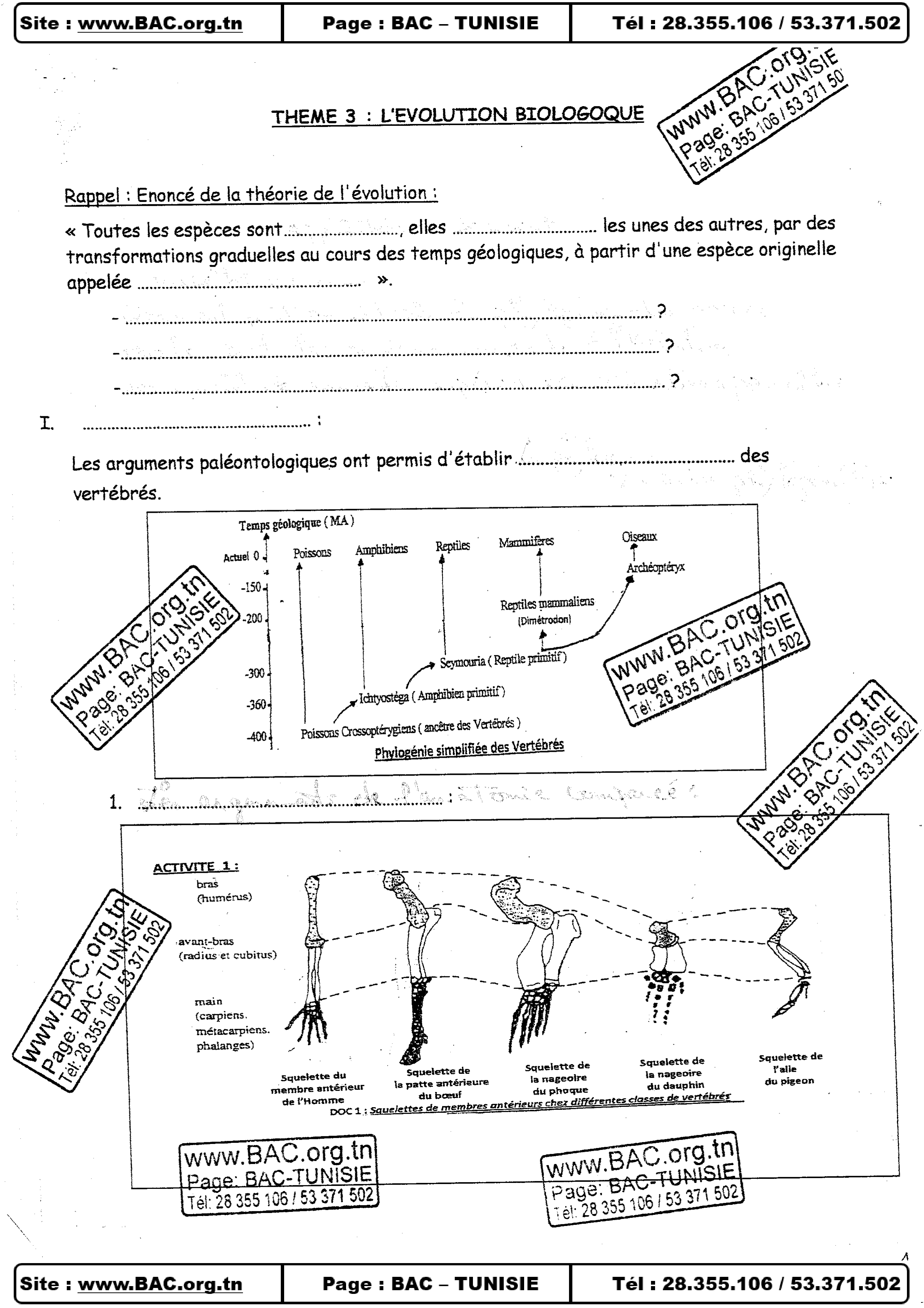 Evolution biologique vierge 24-01_001 - Bac Tunisie 2025