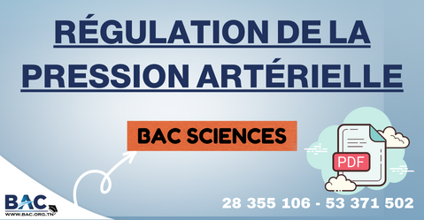 Bac-Sciences Exp-Cours-Science Archives - Bac Tunisie 2026