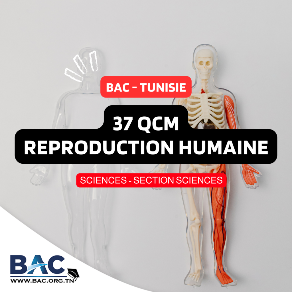 37 qcm sur Reproduction Humaine - bac sciences - Bac Tunisie 2026
